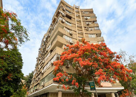 Dokki, Giza Area Guide | Property Finder